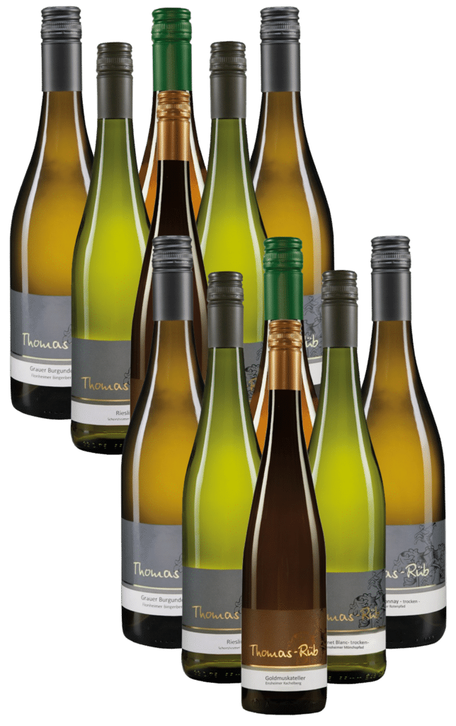 Thomas-Rüb Weißwein Box – bei Wein für alle
